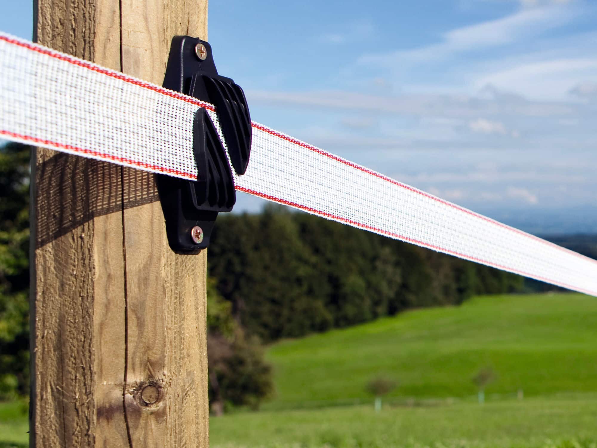 Den hütesicheren Weidezaun – richtig planen und bauen! - Arbeitskreis Pferd