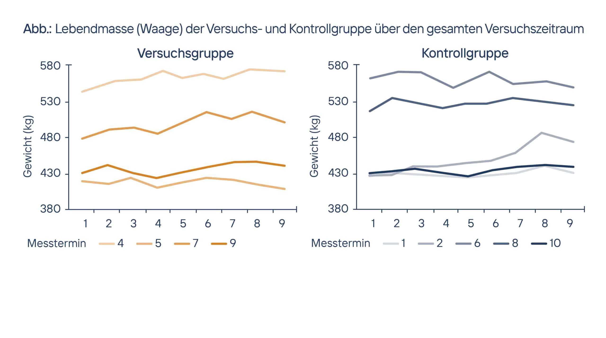 220223_Leiber Pferd_Grafik_Versuchs- und Kontrollgruppe-min - Pferdebetrieb